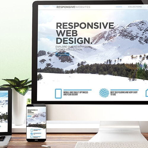 Professional Web Design Services | Nick Trep - Elevate Your Online Presence